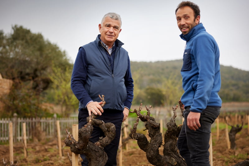 CHÂTEAU MALHERBE - Family-run vineyard since 1940 - Demeter certified ...