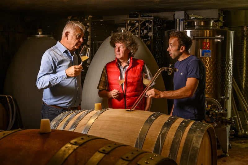 CHÂTEAU MALHERBE - Family-run vineyard since 1940 - Demeter certified ...