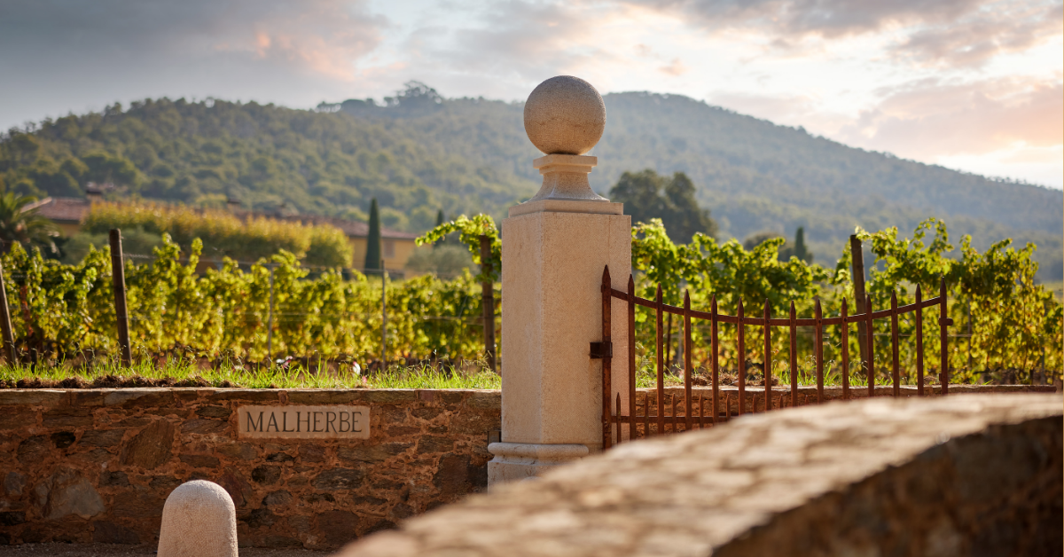 Cuvée Louis Ferrari | parent()